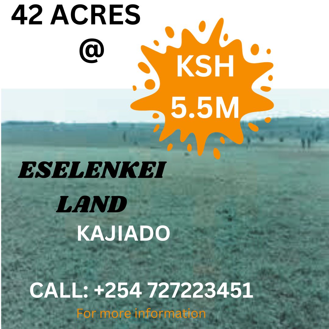 Eselenkei Land For Sale: 42 acres at Ksh 5.5M - Promoting and ...